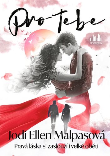 Pro tebe (Jodi Ellen Malpas) | Kniha z Panta Rhei