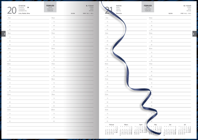 Denný diár A4 JUMBO 2025 | Doplnky z Panta Rhei